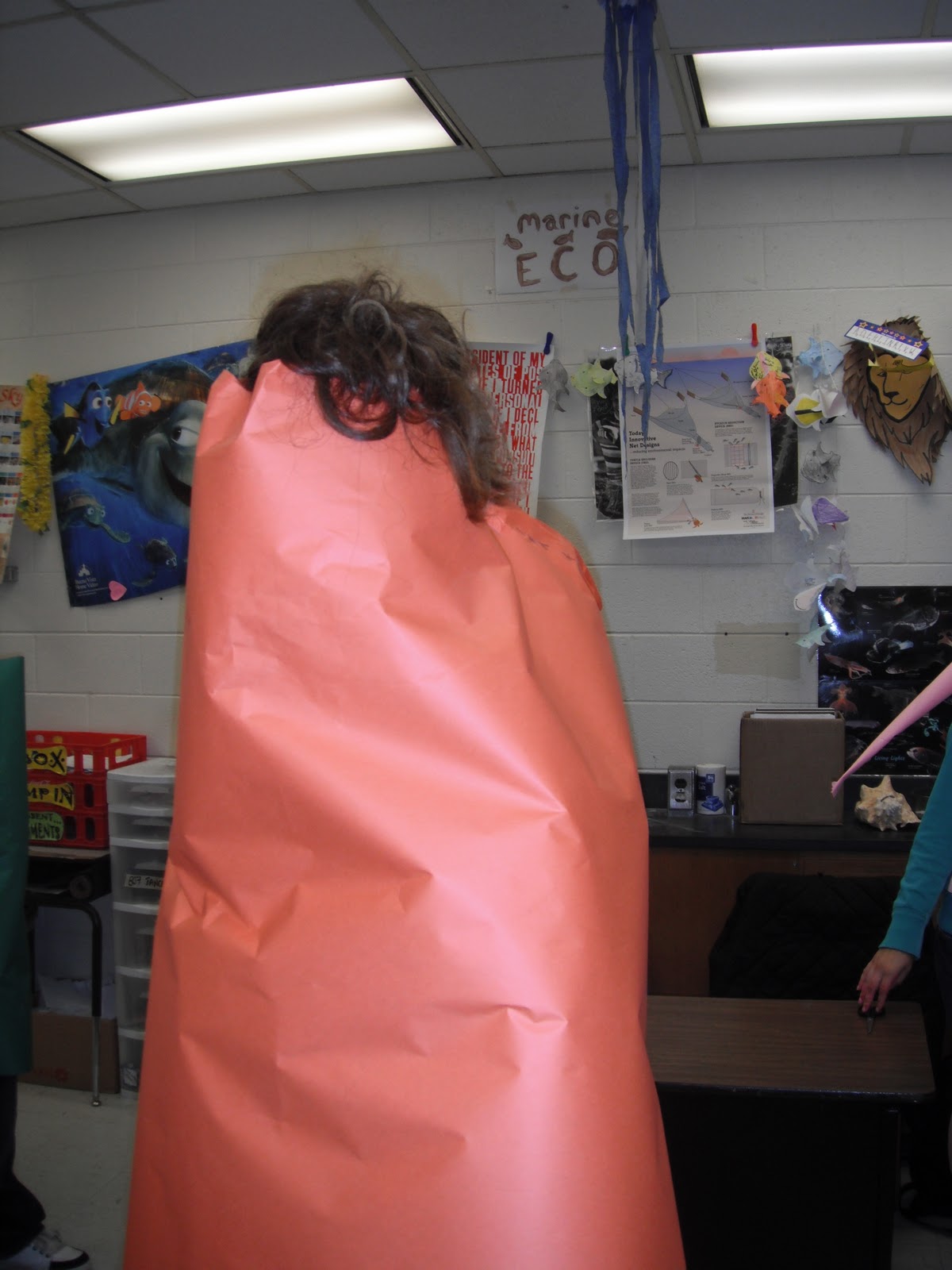 Ms J's Marine Ecology Class: Crustacean and Echinoderm Costumes