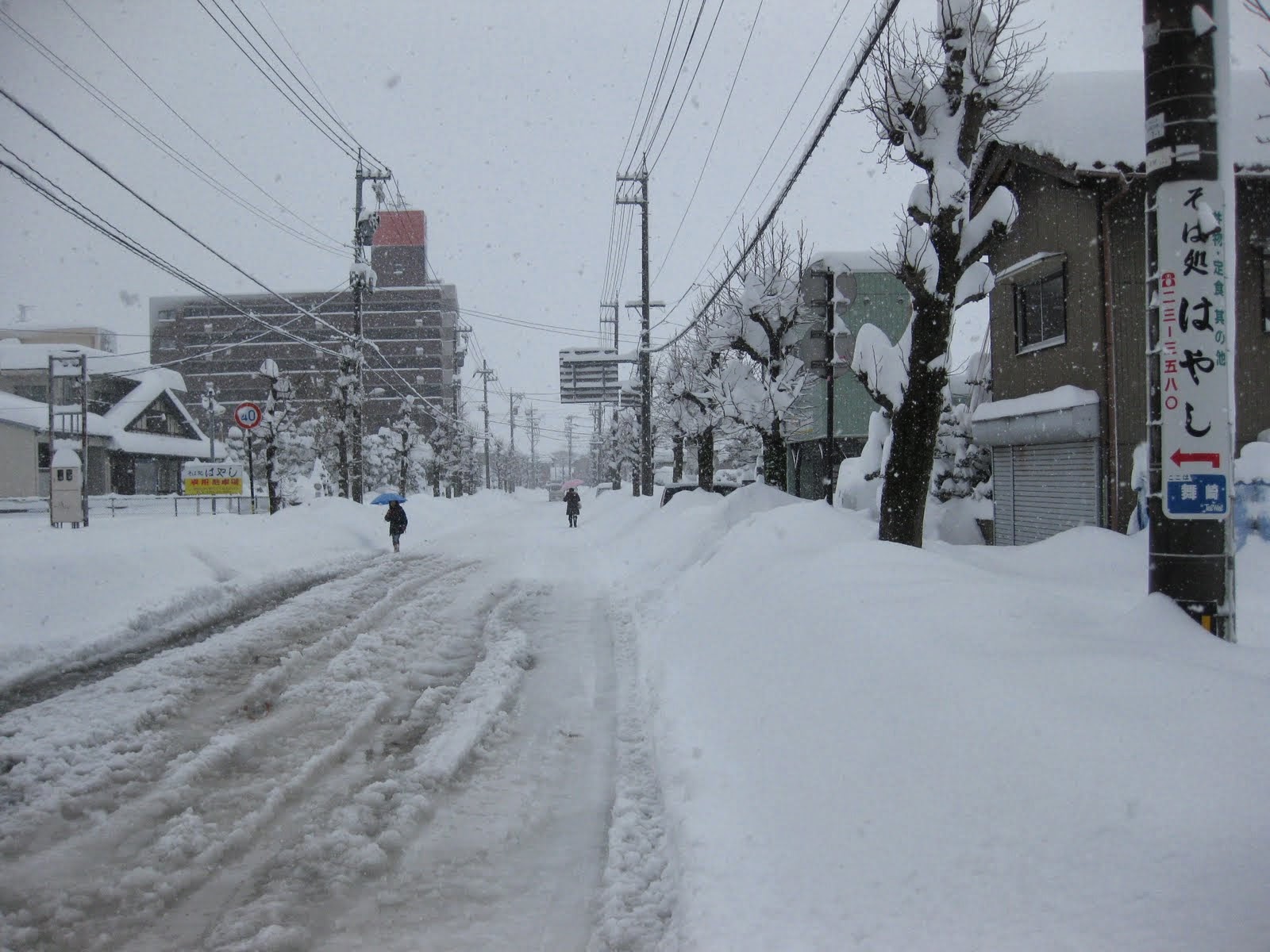 A Trout in Japan: Snow Day