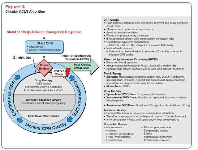 ANAESTHESIA TODAY: AHA CPR GUIDELINES 2010