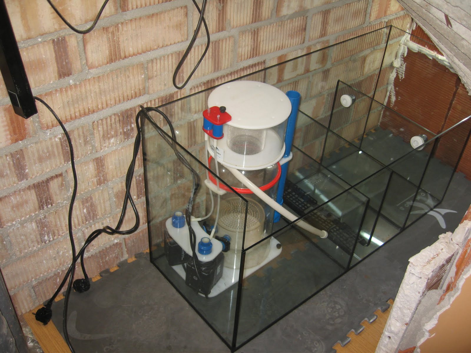 F. Ocellaris Reef: Sump