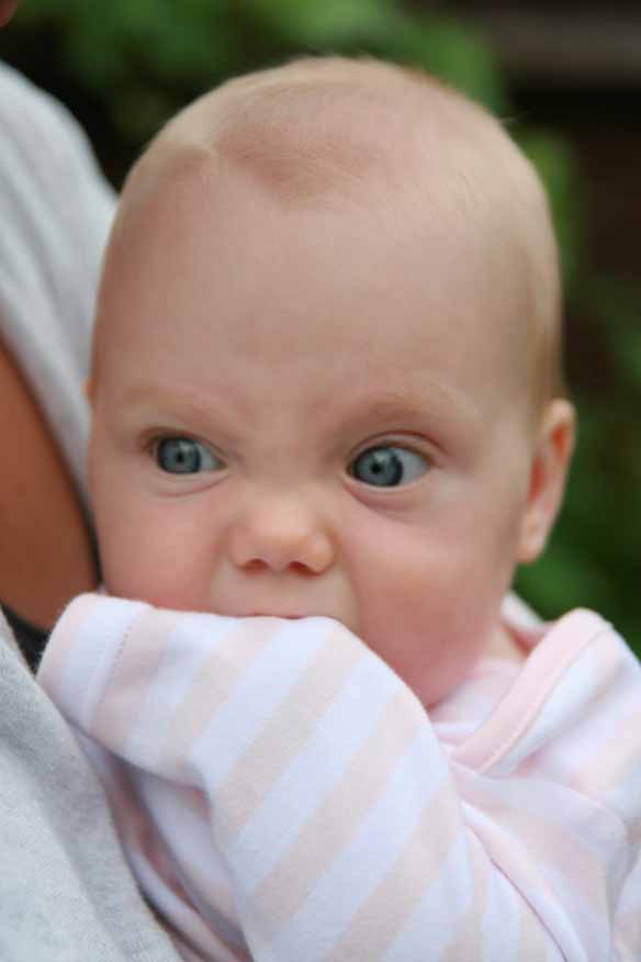 Finlay Geoffrey McCall