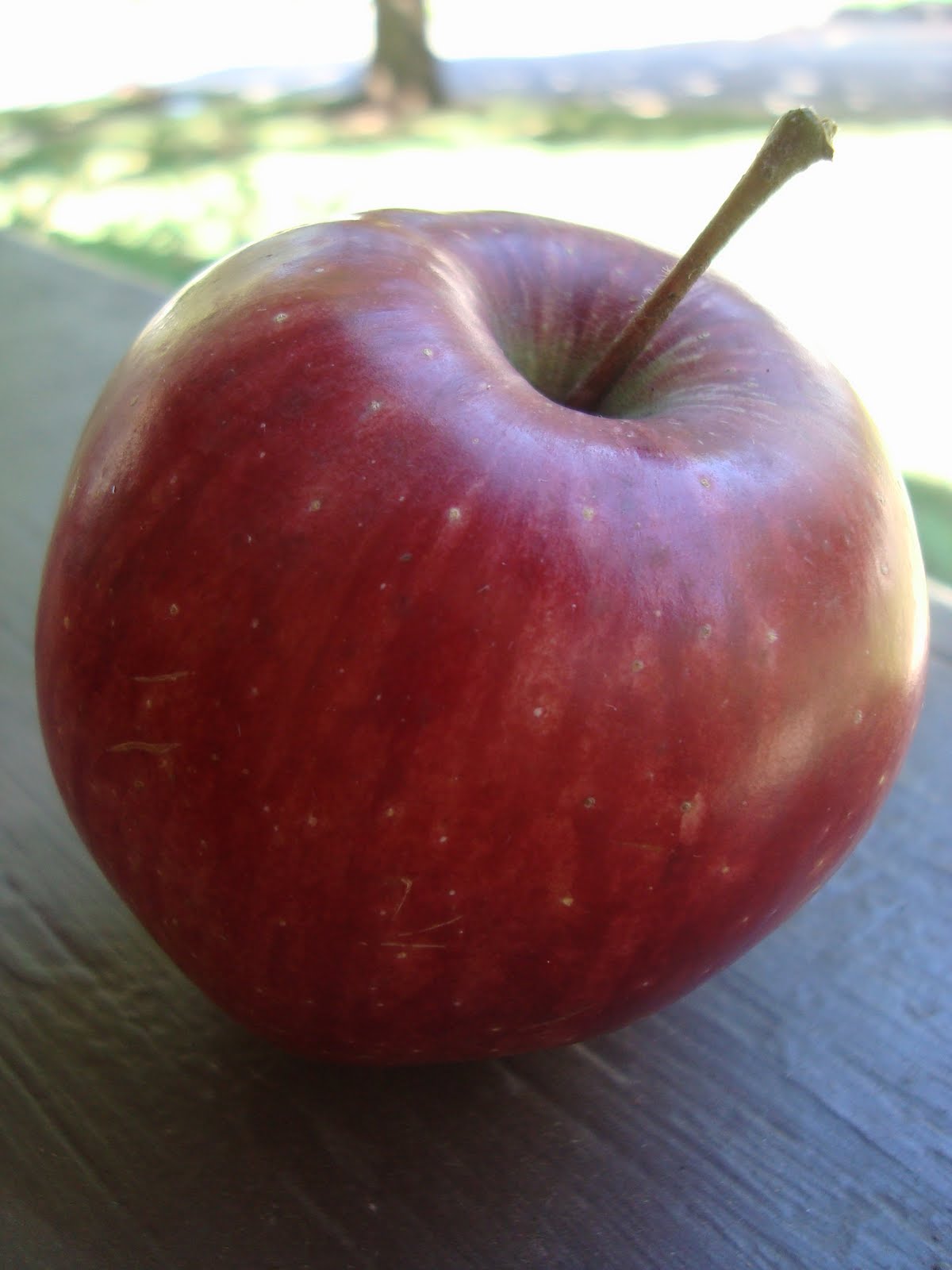 A Couple in the Kitchen: Early-Apple Crumbly Pie
