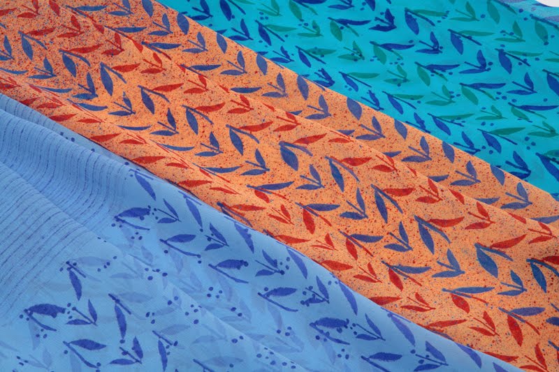 Can Silk Canvas Speak? | Celebrate Woman Today