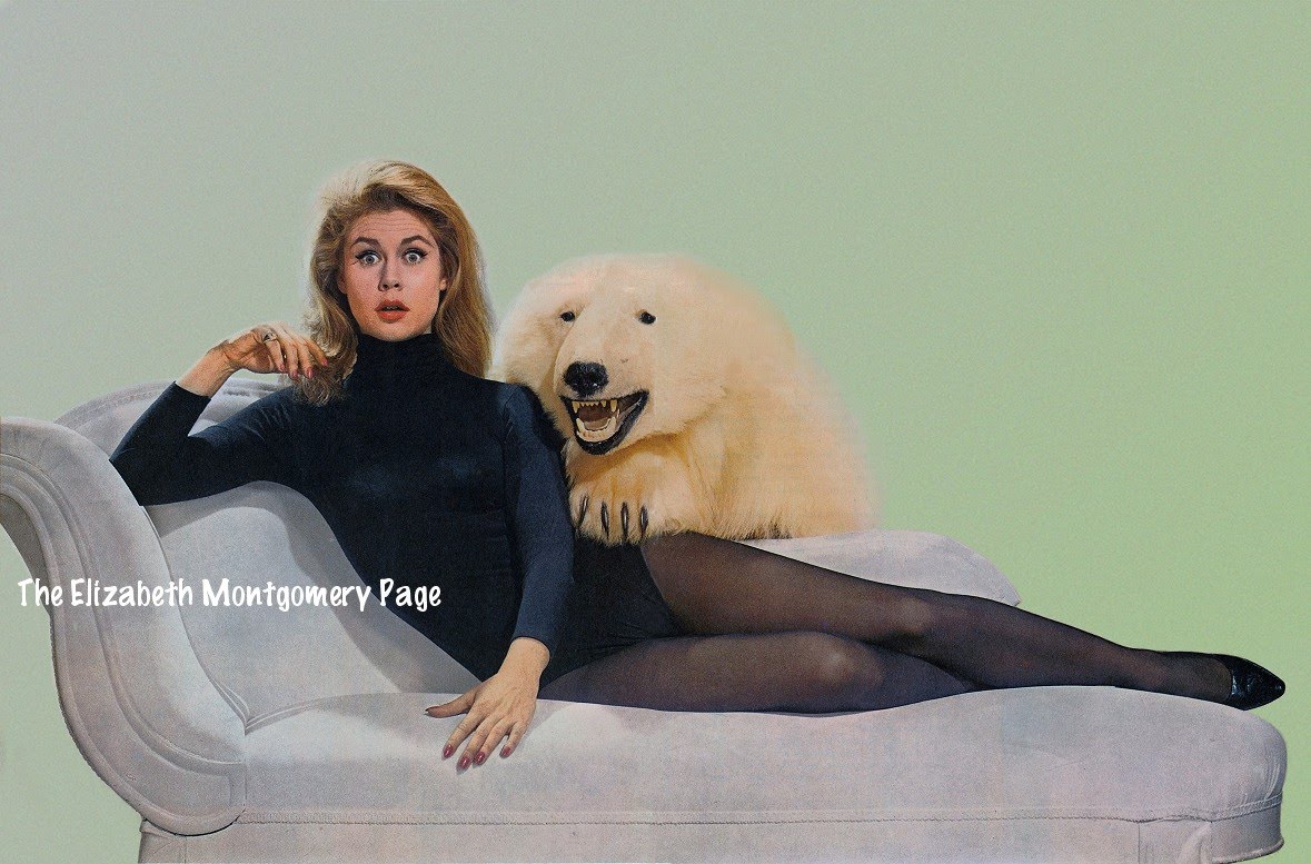 Elizabeth Montgomery, the bombshell - Sitcoms Online Message Boards ...