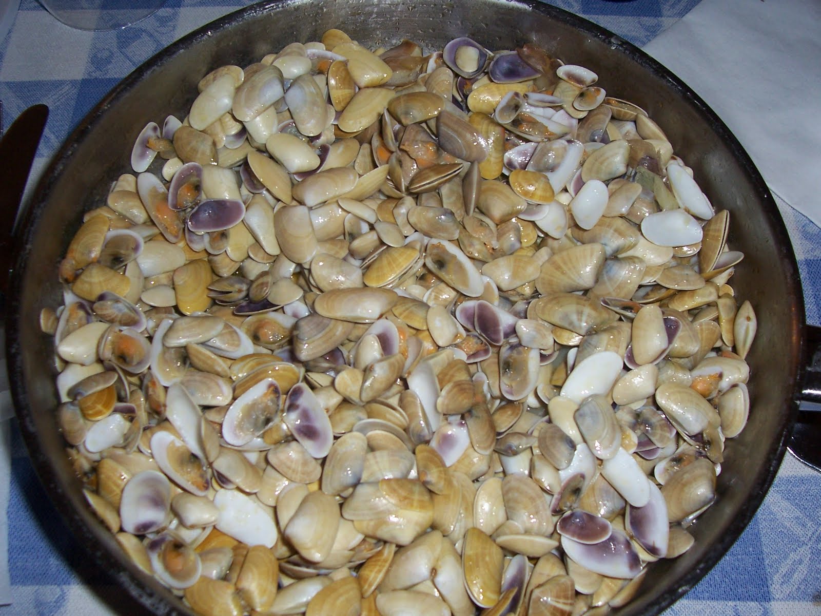 DOCINHOSDAUCIC: CONQUILHAS ALGARVIAS