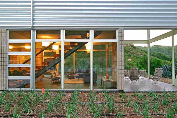 duenametsa: and Extraordinary Wall Designs