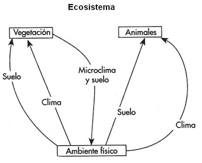 Bios: BIOMAS y ECOSISTEMAS