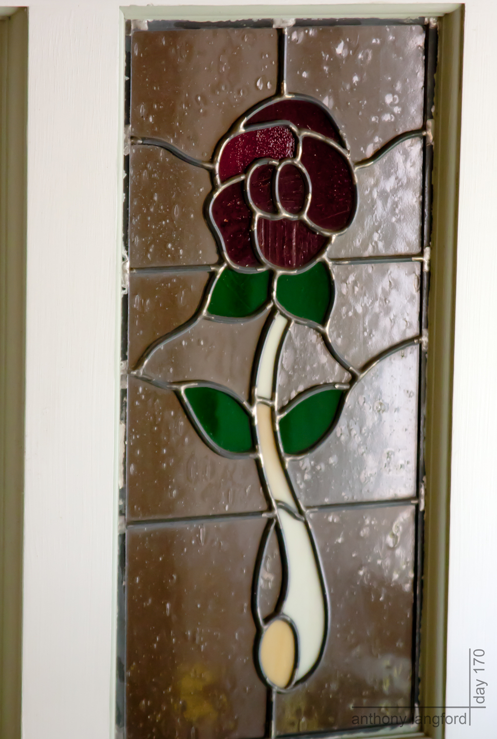 AntTree Blog: Photo 365 - Day 170 (Rose Door)