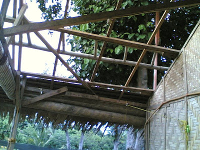 ALAVERDE 33: My new Native roof