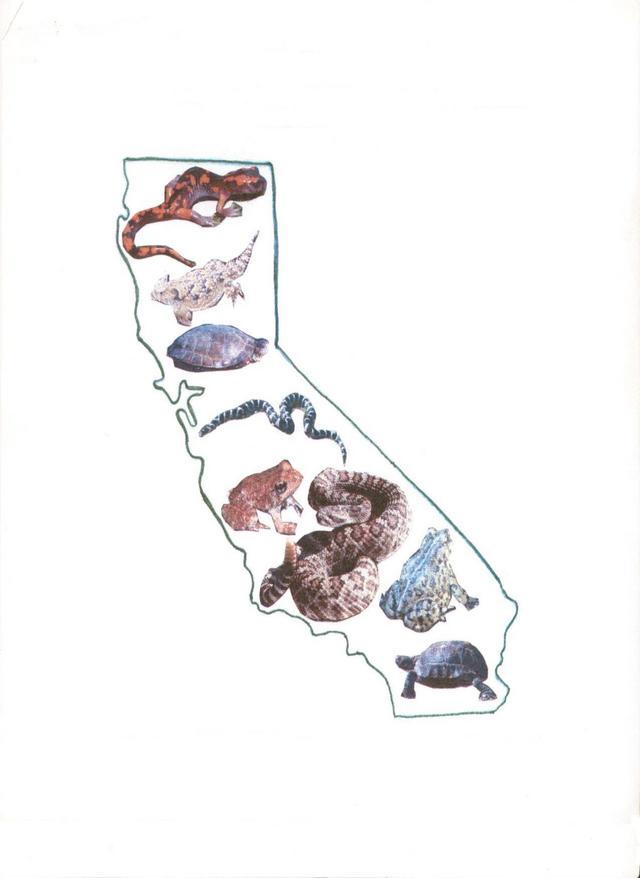 ECOLOGY OF CALIFORNIA