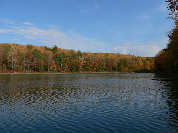 Turtle Lake Cottage - Building Our LEED/Green Home: 2011-01-02