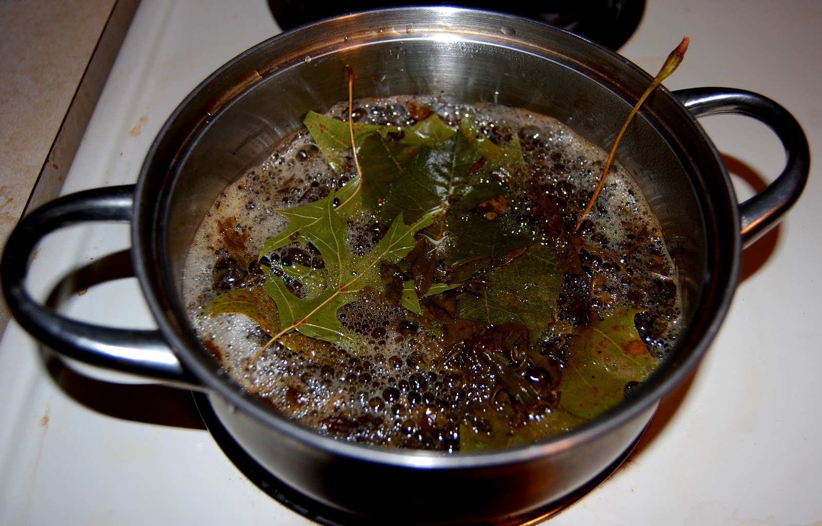 My Art Glass World: How to create skeleton leaves