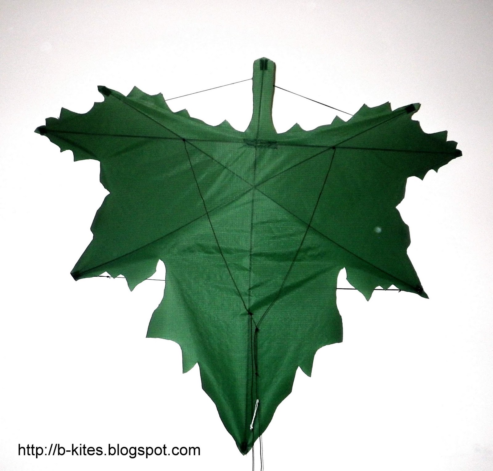 B-kites: Maple