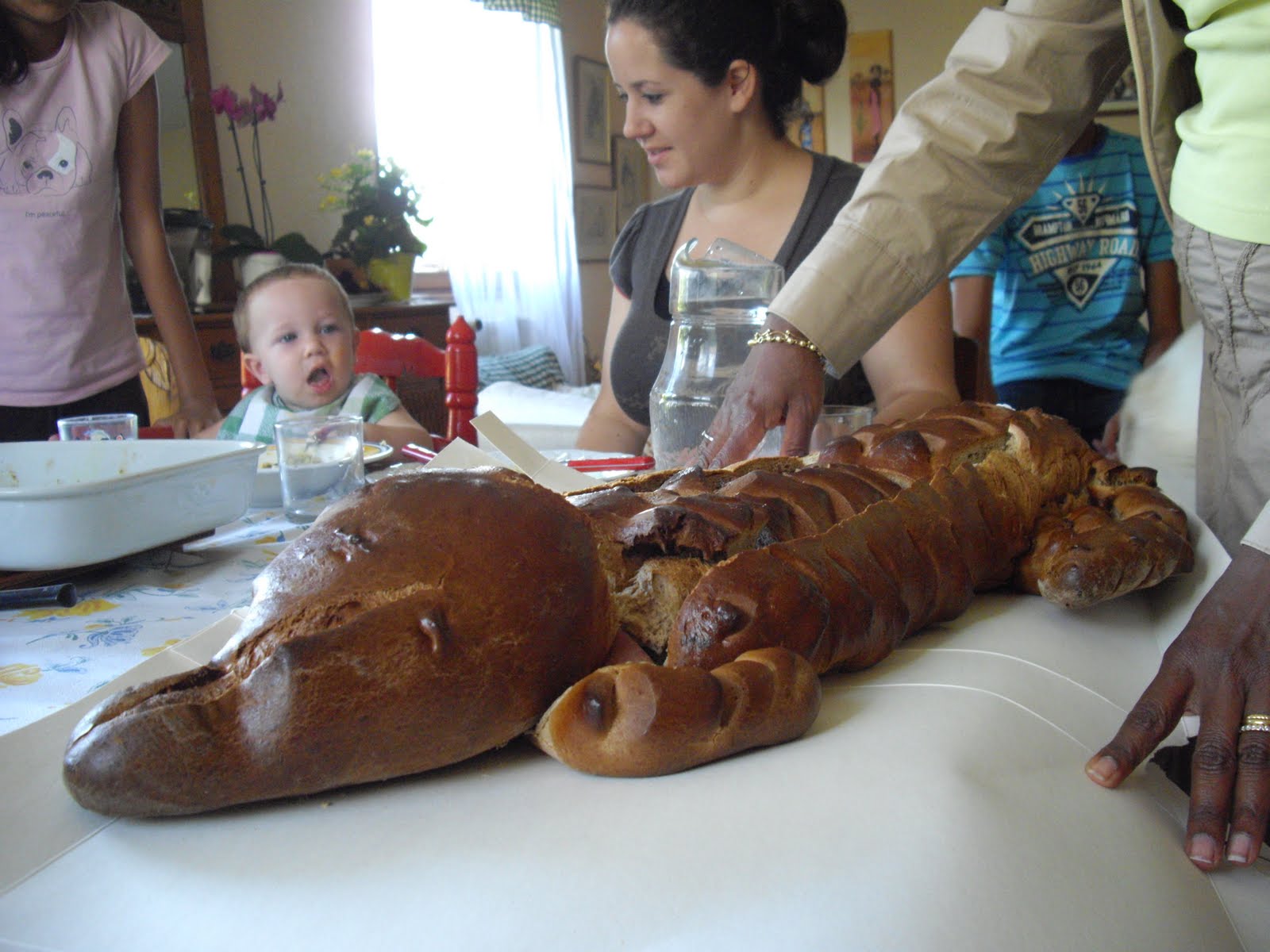 On the Sands of the Sahara: Crocodile Meat
