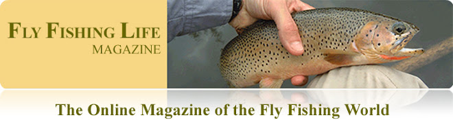 Dry Side Fly Fishing Club