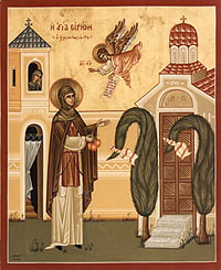 Feasts & Saints: St Irene the Righteous of Chrysovalantou