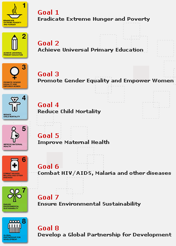 Millennium Development Goals (MDGs) - Vu Long Tran
