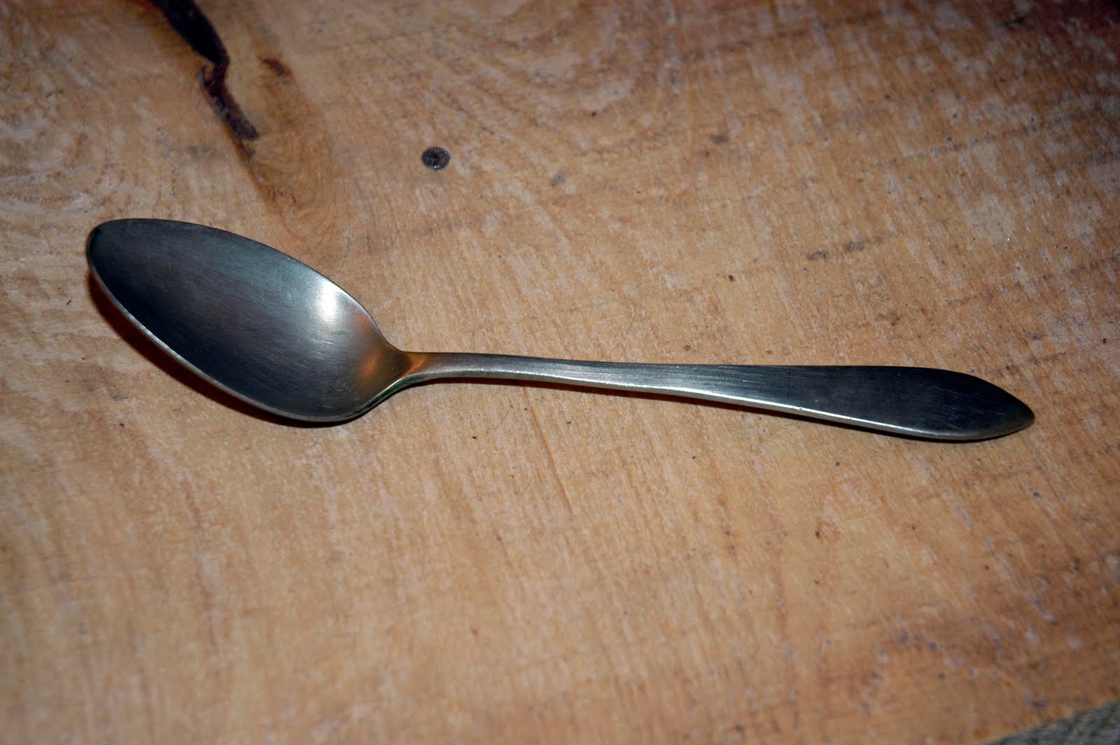 el cotanillo: julio 2010