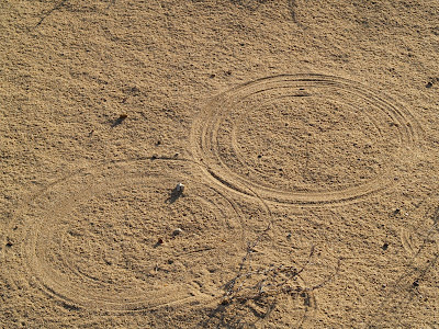Strolling the Remnants: Sand Prairie Conservation Area