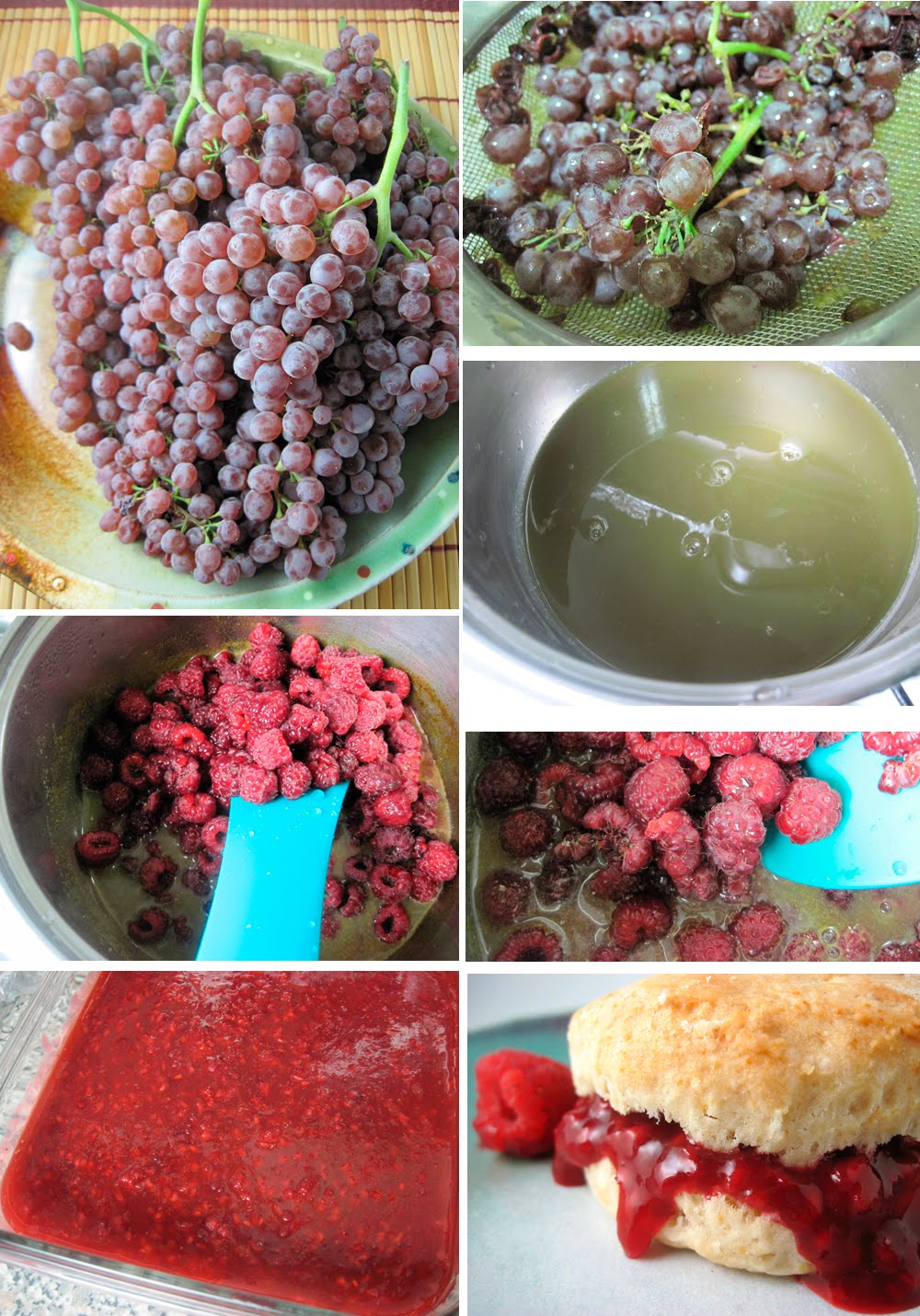 Pots & Dishes: Raspberry and Champagne Grape Sugar Free Sauce/Filling