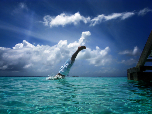 Diving into the water - 8 best shot