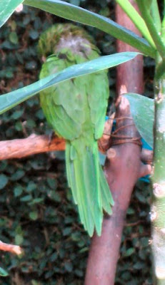 Comments on the World at Large: Graduation Celebration: Day 9