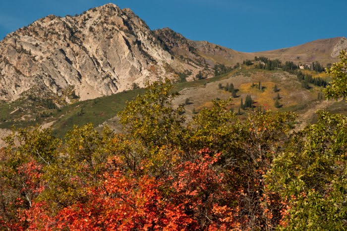 Utah Fall Color Watch: Ogden Valley Fall Color Photography Workshop ...