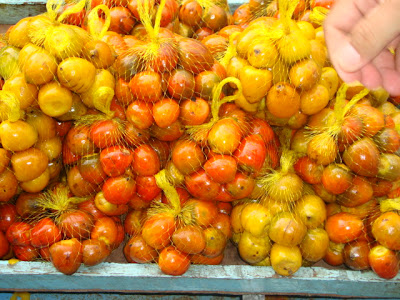 RECEITAS DA VOVÓ CRISTINA: PUPUNHA