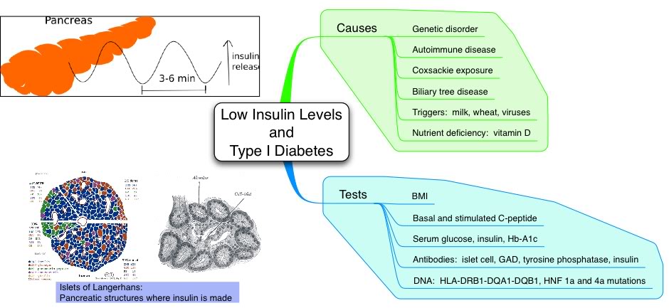 Mind map of Low Insulin Levels and Type I Diabetes
