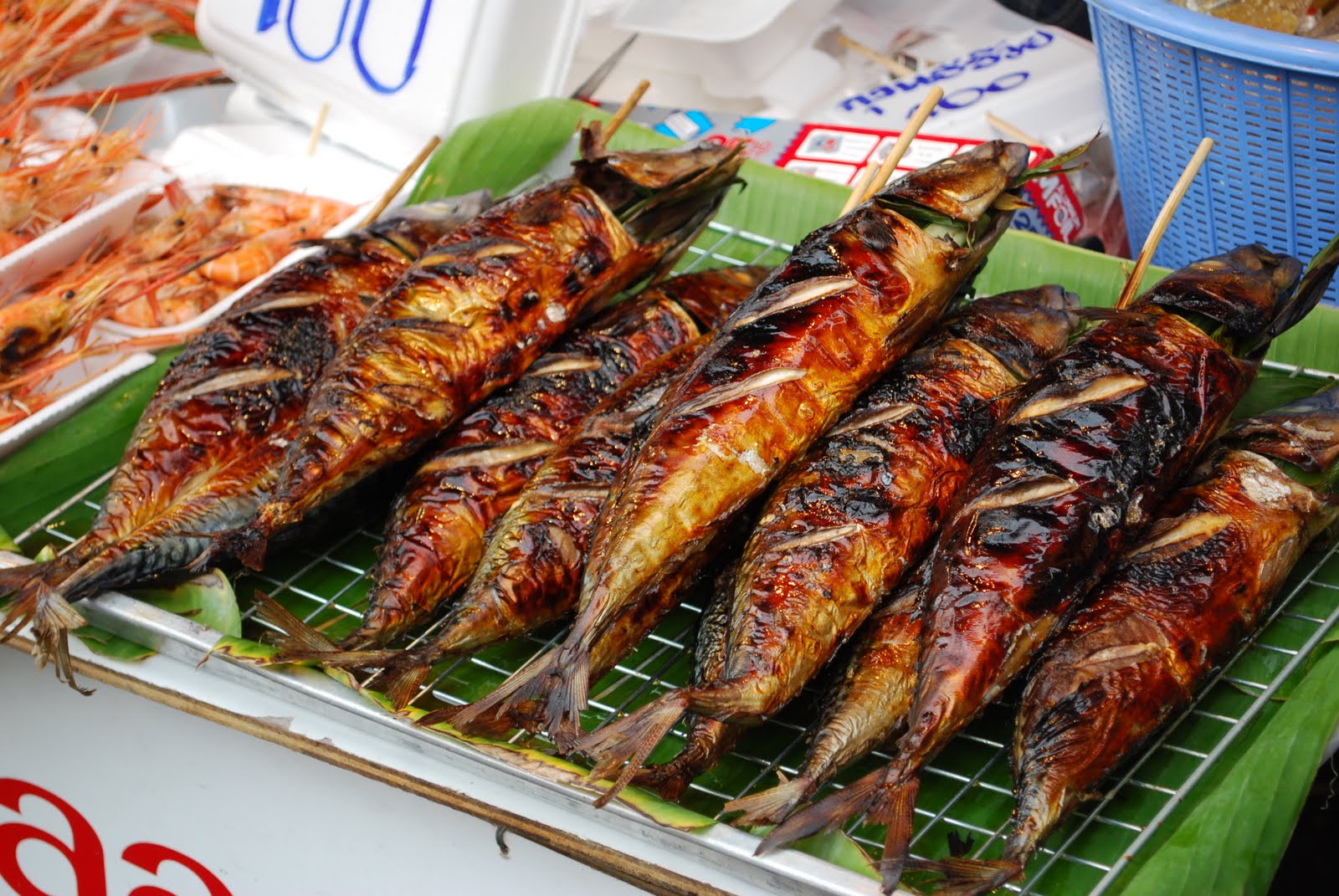 Plovkarenje ribolov: Roštiljska Riba Recept