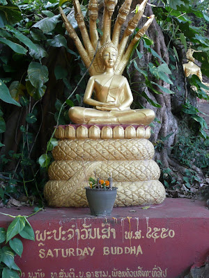 High-Flying Boomerang : A Buddha a Day