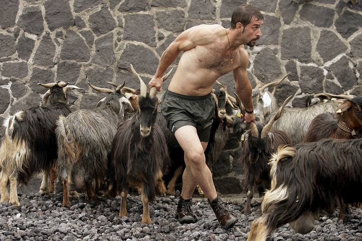 Goats in Slovenia [OC] : r/europe