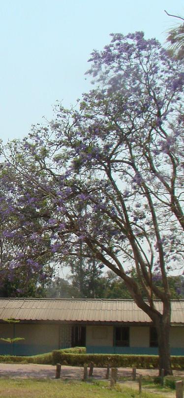 Amy's Assorted Adventures: Sundays in My City--Happy, Smiling Faces