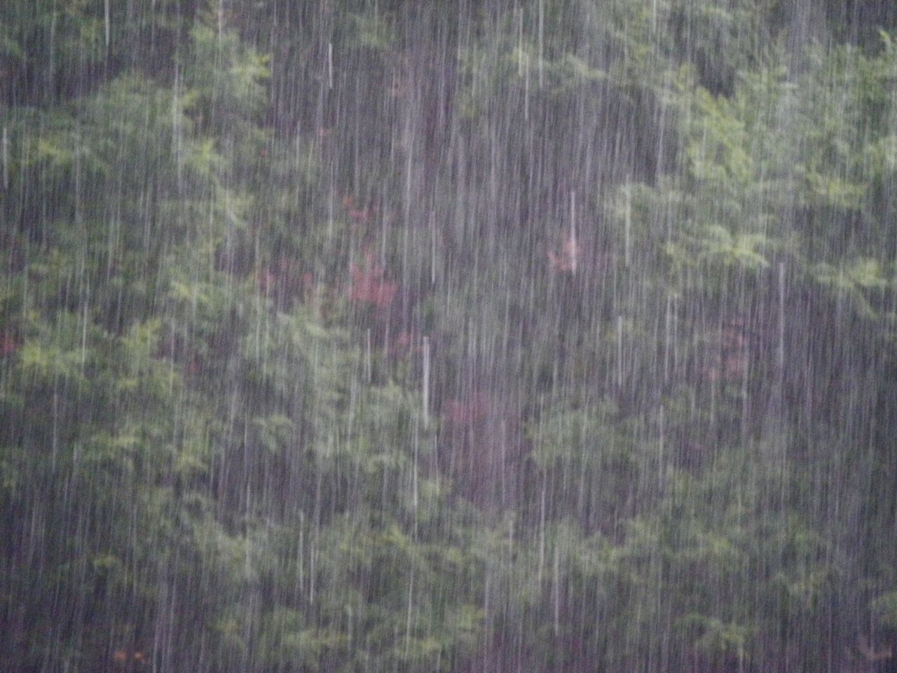 Sunny Side Up: Downpour!