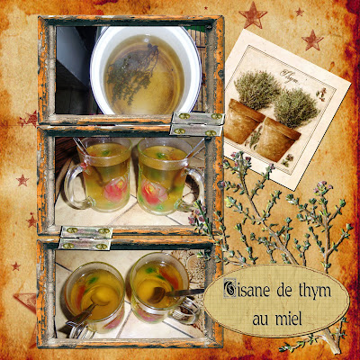 Bienfaits du Thym, cuisine et santé!!! - Sourour et son partage au quotidien