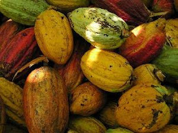 Le Palien équitable