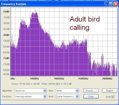 Swiftlet Farming - YenYen: Piyik and Adult Sound Frequency Analysis