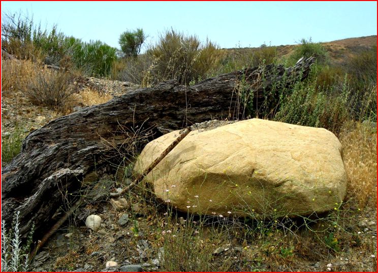 Eternal Youth of Nature: June 2010
