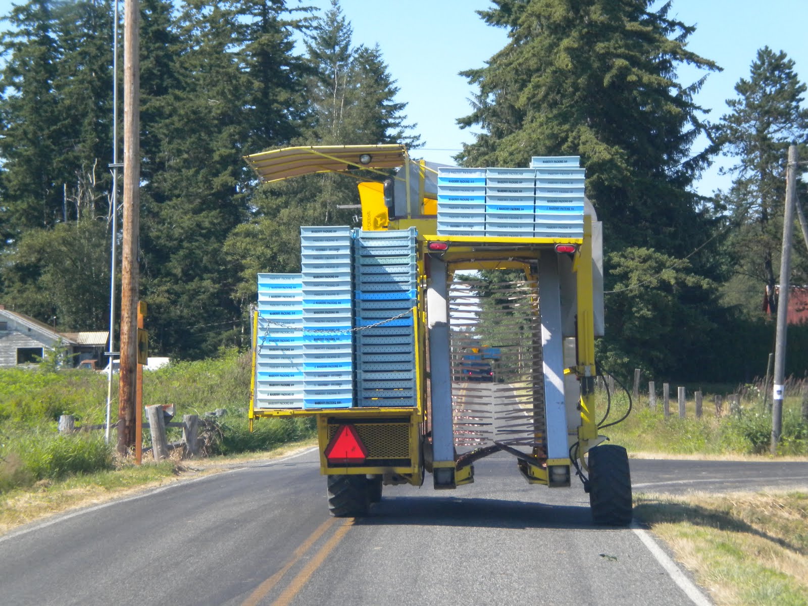 The harvest has begun