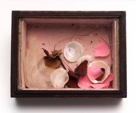 Fundy Colored: Cornell Box