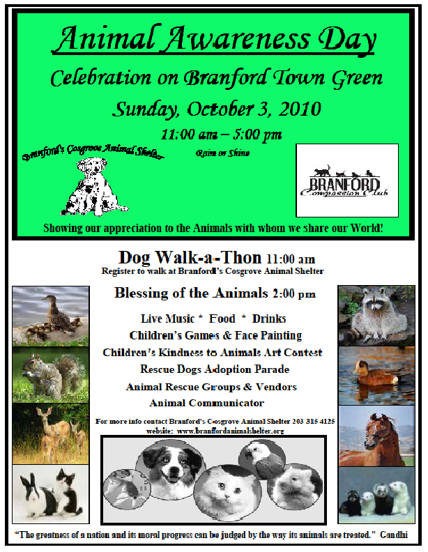 Branford Compassion Club Blog: Animal Awareness Day 2010