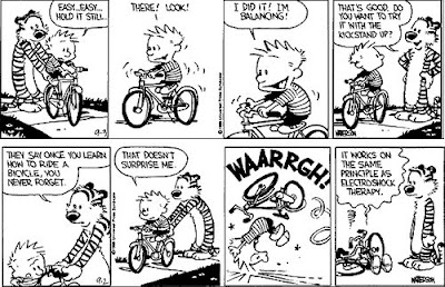 A Homeschooler's Pensieve: Driving Vs. Calvin and Hobbes