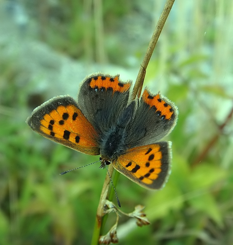 JRandSue: August 2010