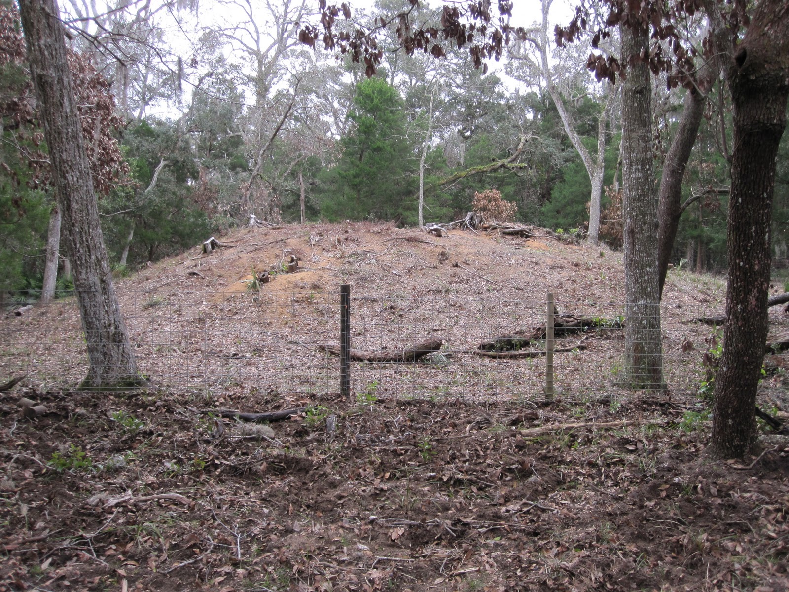 A Day in the Life of an Archaeology Site Monitor