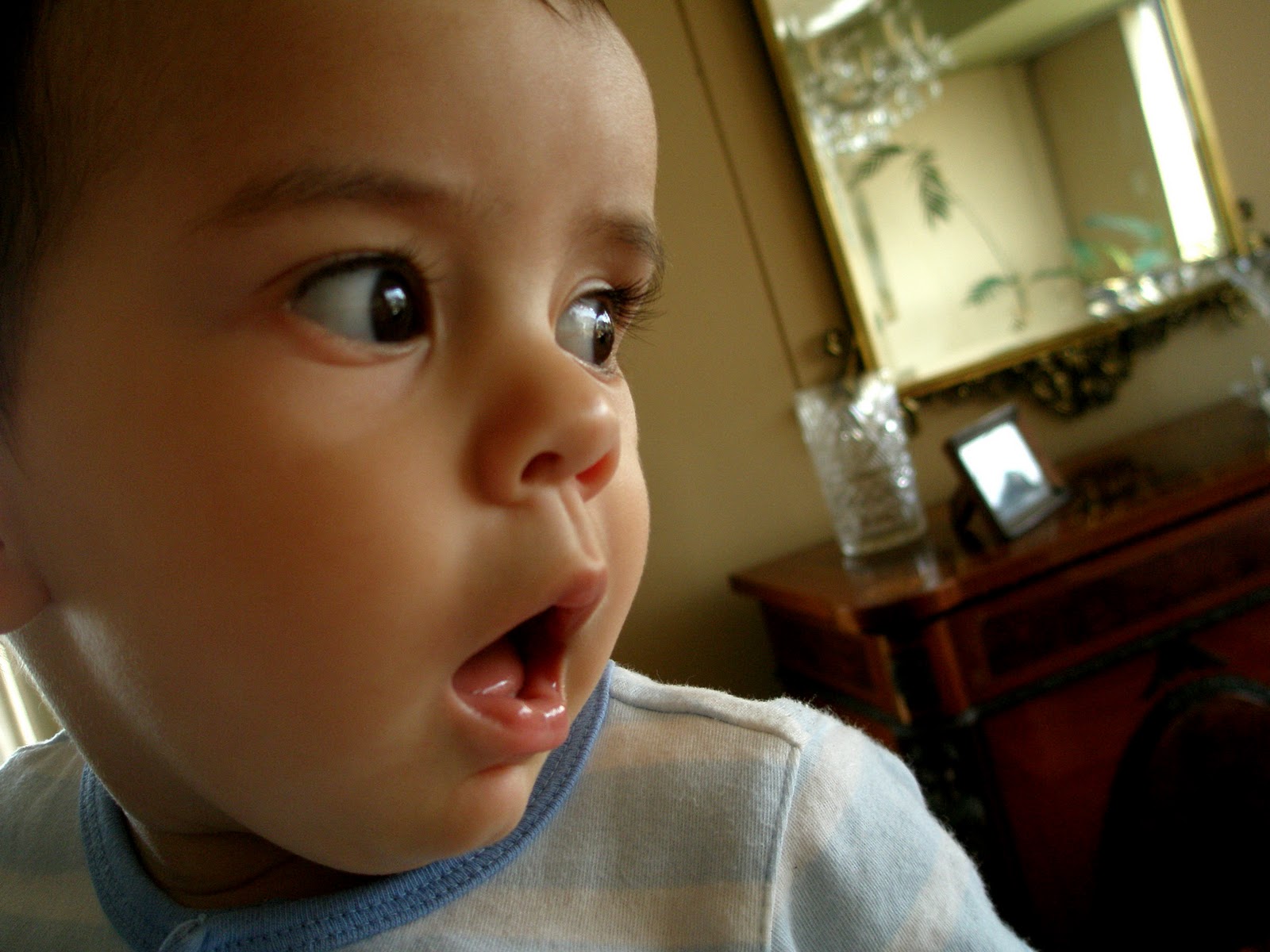 Datos inteligentes blogspot: EL ASOMBRO