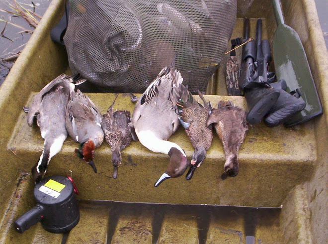 SOUTH CAROLINA DUCK HUNTS