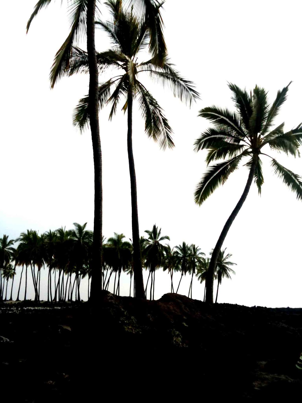 The Helpful Art Teacher: POSITIVE AND NEGATIVE SPACE