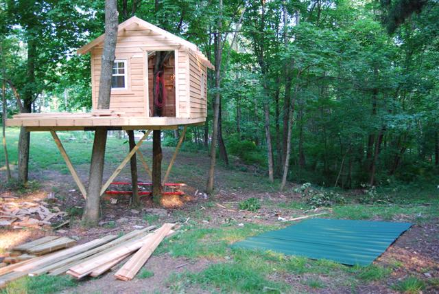 Virginia Lee: Treehouse Progress