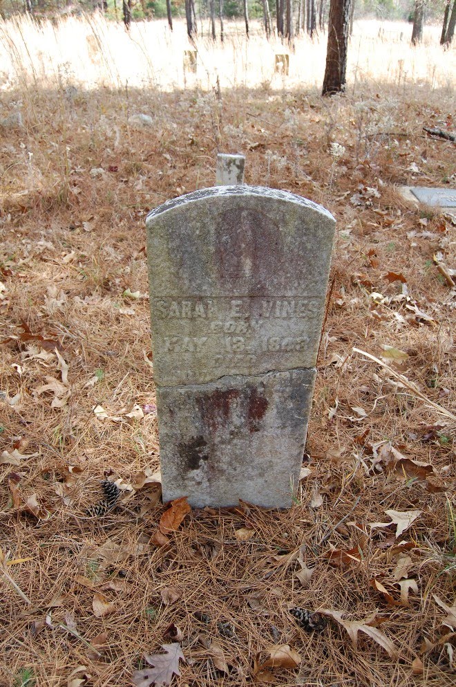 Exploring Izard County: Robinson Cemetery