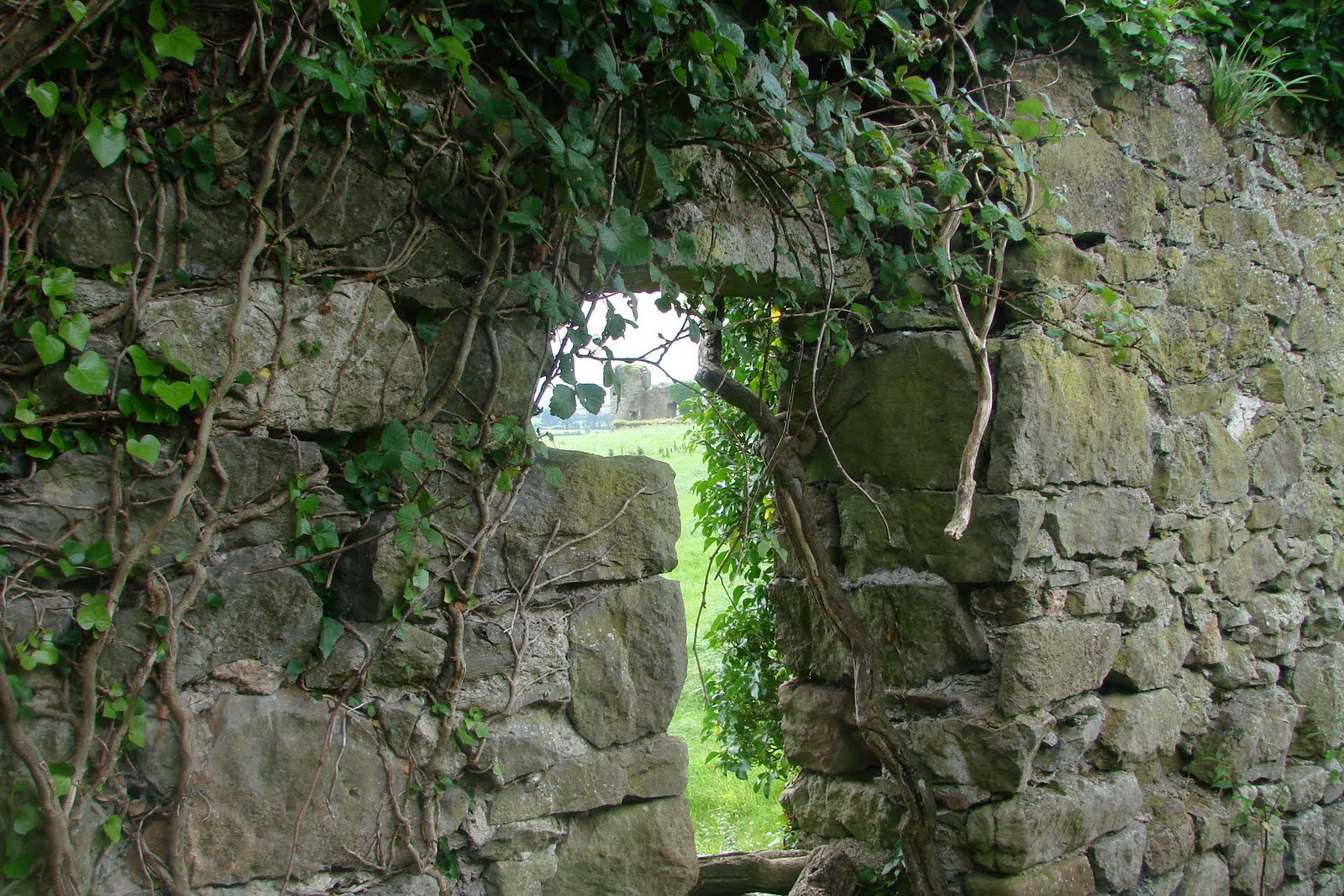 Early Modern Whale: At Kilcolman Castle